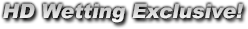 Welcome to HD Wetting | HD Wetting